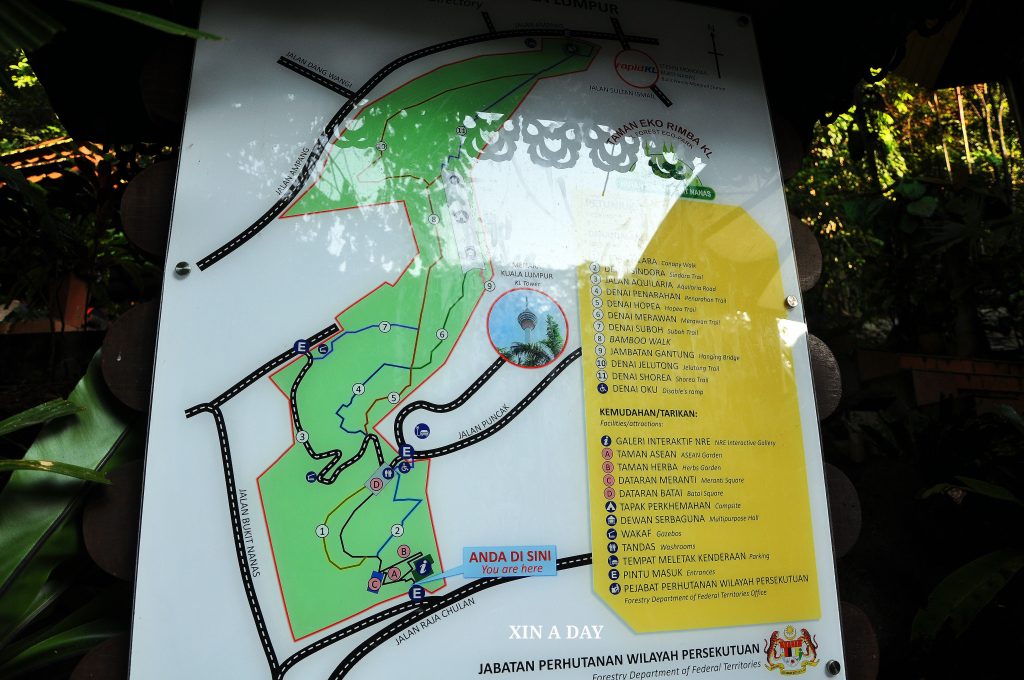 【旅游】城市的绿肺 KL Eco Forest Park @ Raja Chulan – Xin A Day 昕 一 天