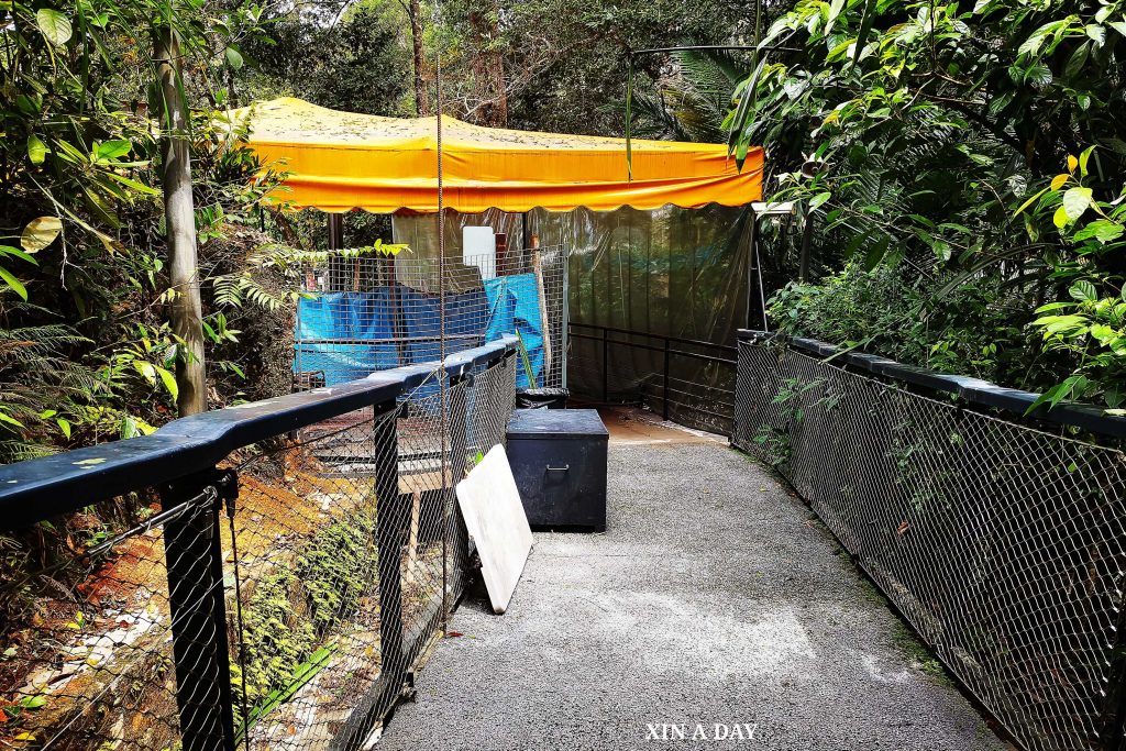 【槟城旅游】Zipline Flight of the Colugo @ The Habitat – Xin A Day 昕 一 天