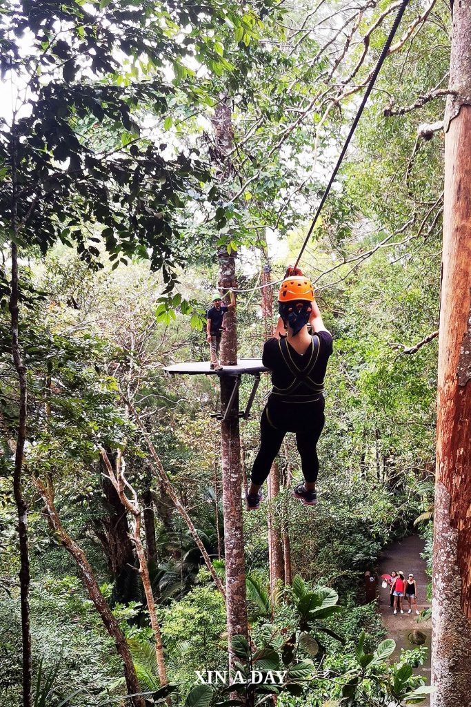 【槟城旅游】Zipline Flight of the Colugo @ The Habitat – Xin A Day 昕 一 天