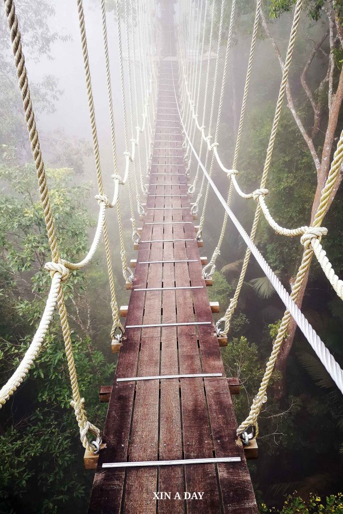 Penang-Hill-zipline1-24 – Xin A Day 昕 一 天