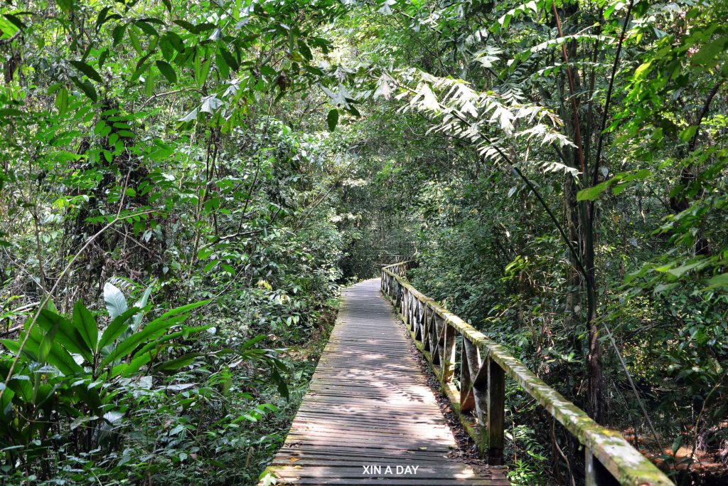 【旅游】尼亚洞 Niah Cave @ Miri Sarawak – Xin A Day 昕 一 天